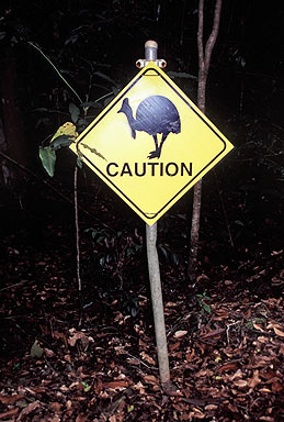 Cassowary Sign Daintree Australia photo