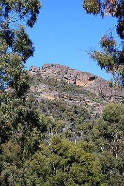 Escarpment in the Grampians Australia photo